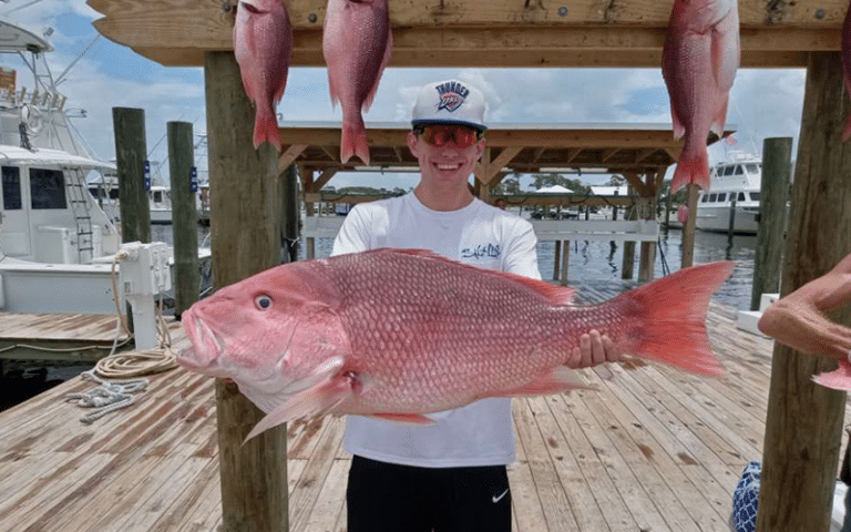 Noah fish - Sherman Carter Barnhart